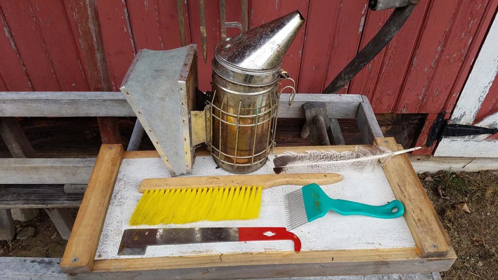 How To Start Beekeeping (In 2020) | Beekeeping For Newbies How To Start Beekeeping (In 2020) | Beekeeping For Newbies
